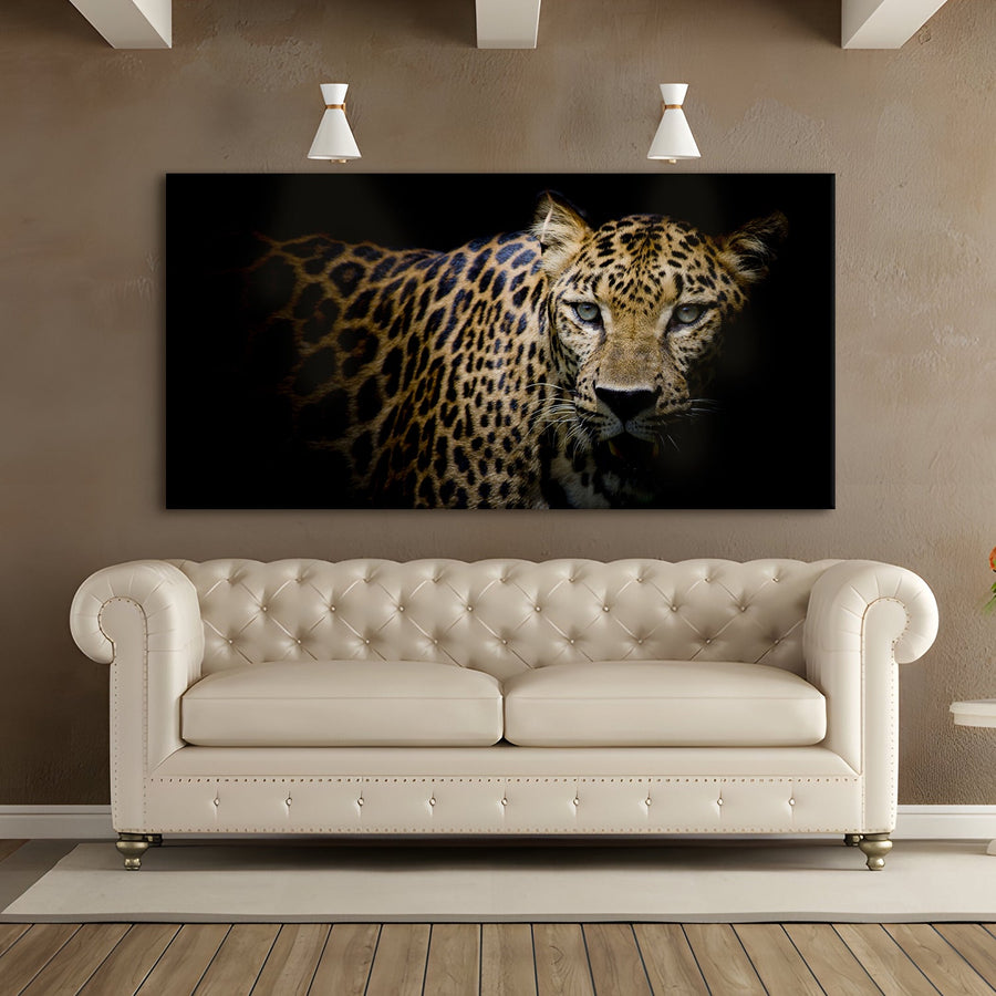 Wildlife Paintings and Photography – Paper Plane Design